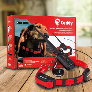 Concorso a premi VINCI con CADDY - Vinci con CADDY